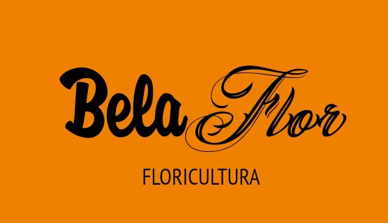 Landing page BelaFlor
